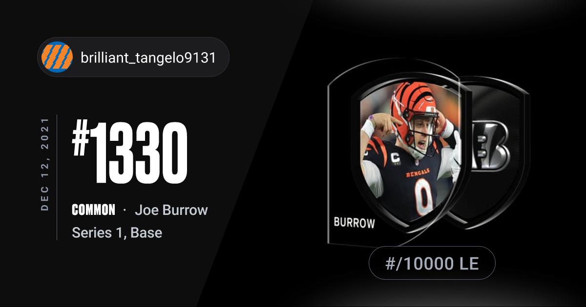 Joe Burrow - Pass #1330 | NFL ALL DAY